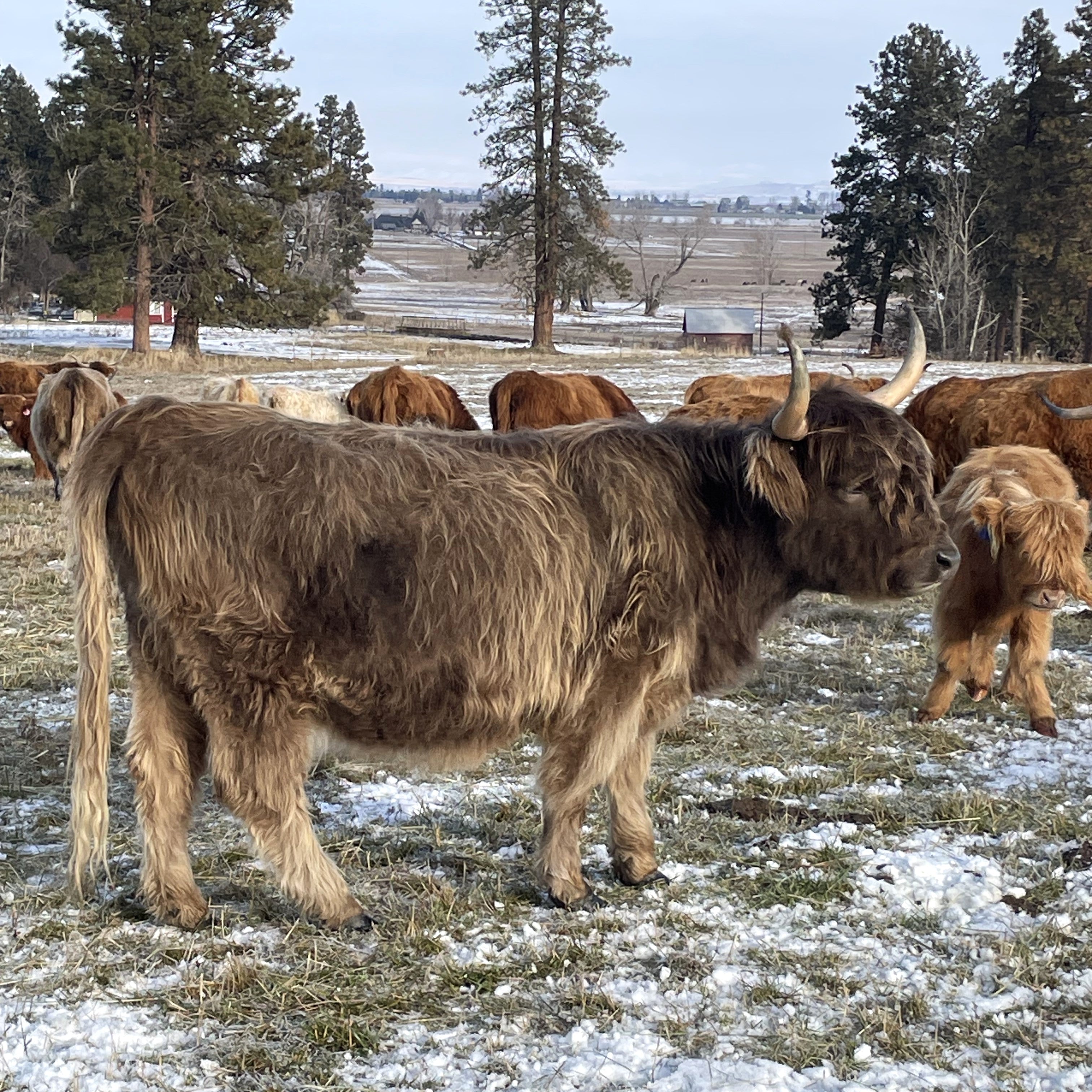 Barra – Old Souls Farm & Market