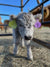 Old Souls Farm & Market – Old Souls Farm & Market