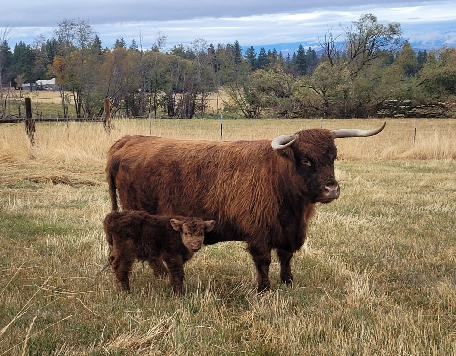 Available Highlands – Old Souls Farm & Market